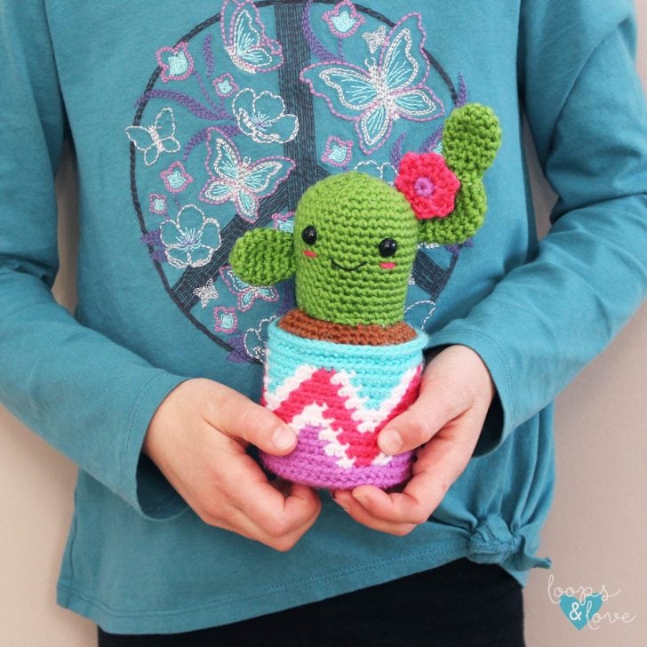 Cactus Amigurumi - Free Crochet Pattern Loops & Love Crochet